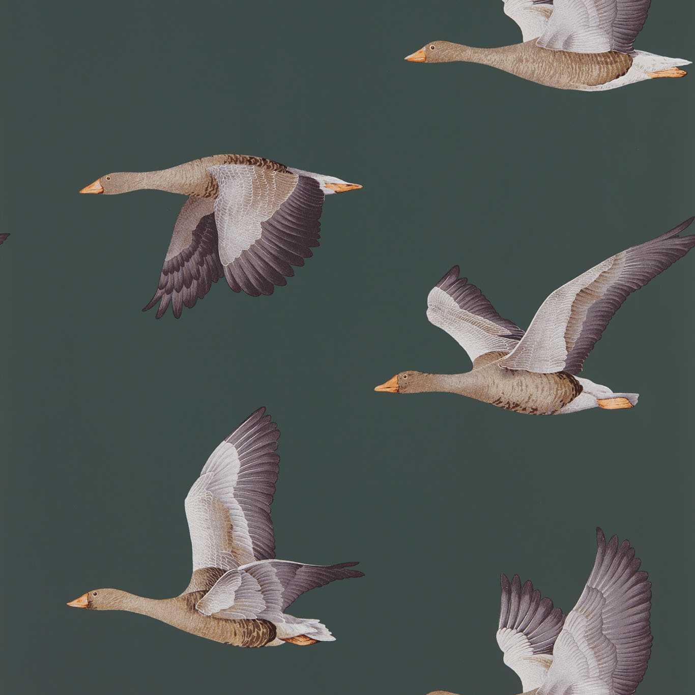 Sanderson Elysian Geese Wallpaper – Morris Wallpaper