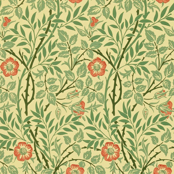 Morris & Co Sweet Briar Wallpaper in Green/Rust - 210478 – Morris Wallpaper